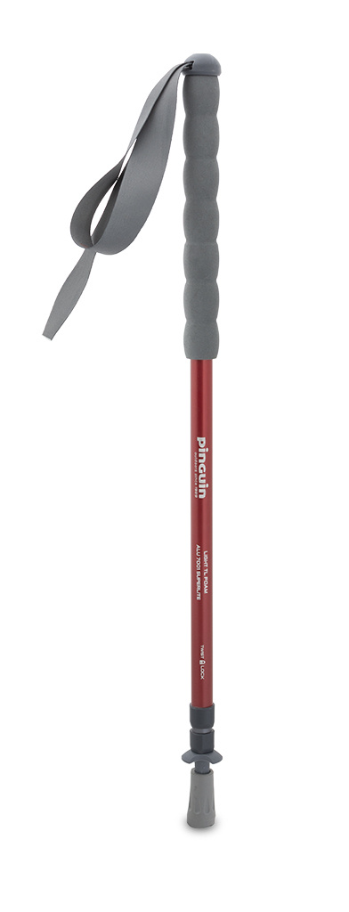 Fastrail TL Foam | Trekking poles